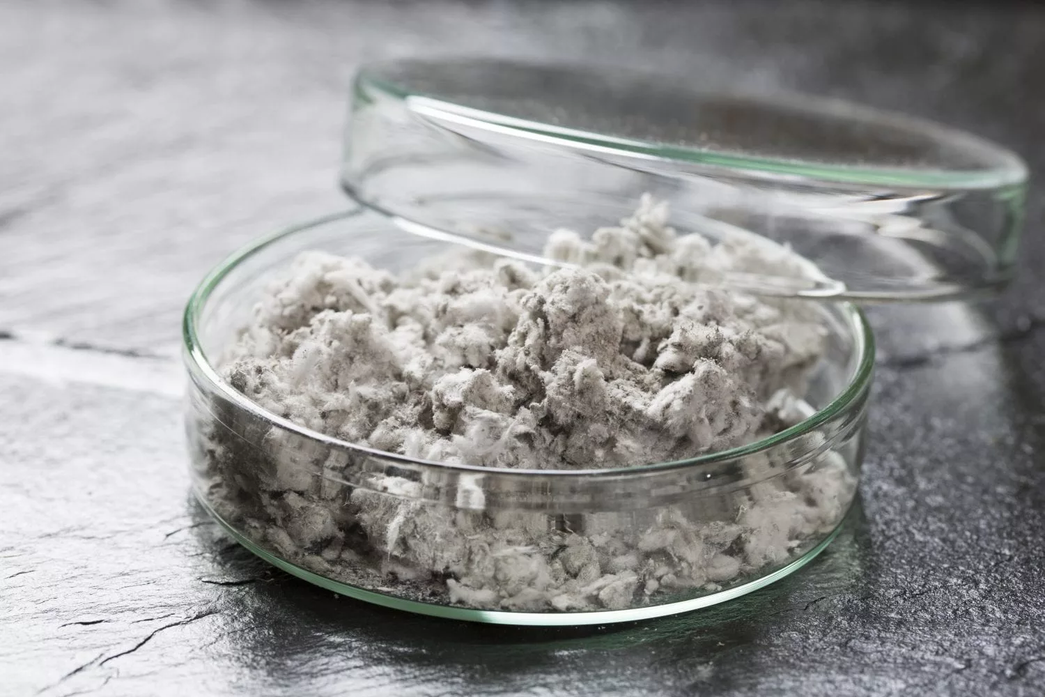 Asbestos Bulk Samples Denver, CO | Asbestos Testing Services