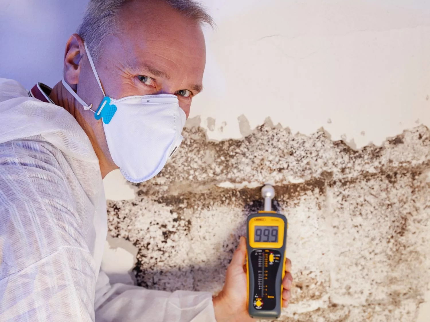 Mold Inspection Denver, CO | Mold Testing & Inspection Services